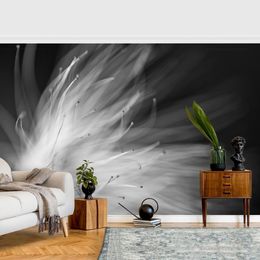 Bilderwelten Fototapete Blumen Motiv Wandtapete schwarz weiss - Bl&uuml;tenstaub Schwarz-Wei&szlig; - Deko Wohnzimmer Schlafzimmer