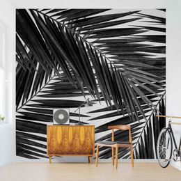 Bilderwelten Fototapete Natur Tropisch Wandtapete schwarz weiss - Blick durch Palmenbl&auml;tter schwarz wei&szlig; - Landschaft Wohnzimmer Schlafzimmer