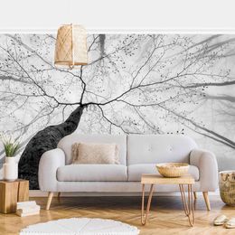 Bilderwelten Fototapete Wald Motiv Wandtapete schwarz weiss - Baumkronen im Himmel - B&auml;ume Wohnzimmer Schlafzimmer