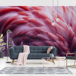 Bilderwelten Fototapete Tiere Tropisch Wandtapete pink - Flamingofedern Close-up - Feder Wohnzimmer Schlafzimmer