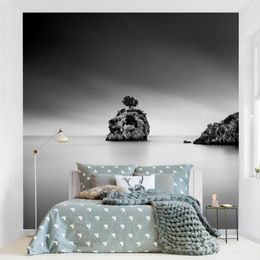 Bilderwelten Fototapete Felseninsel im Meer Schwarz-Wei&szlig; selbstklebende Tapete Insel Meer Landschaft Wandtapeten Wohnzimmer Schlafzimmer Vliestapete
