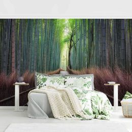 Bilderwelten Fototapete Natur Motiv Wandtapete gr&uuml;n - Der Weg durch den Bambus - Japan Wohnzimmer Schlafzimmer