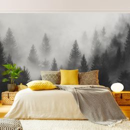 Bilderwelten Fototapete Wald Motiv Wandtapete einzigartig - Nadelwald im Nebel Schwarz Wei&szlig; - B&auml;ume Wohnzimmer Schlafzimmer