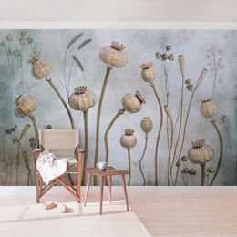 Bilderwelten Fototapete Getrockneter Mohn