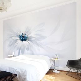 Bilderwelten Fototapete Blumen Motiv Wandtapete einzigartig - G&auml;nsebl&uuml;mchen in Blau - Deko Wohnzimmer Schlafzimmer