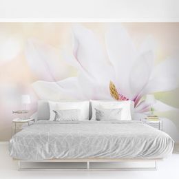 Bilderwelten Fototapete Blumen Motiv Wandtapete beige - Zarte Magnolienbl&uuml;te - Deko Wohnzimmer Schlafzimmer