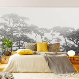 Bilderwelten Fototapete Wald Motiv Wandtapete einzigartig - Baumkronen im Nebel Schwarz Wei&szlig; - B&auml;ume Wohnzimmer Schlafzimmer