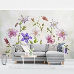 Bilderwelten Tapete - Wald-Akelei - Fototapete Blumen Wiesen Garten, Blumentapete - Schlafzimmer floral Wohnzimmer Vlies auch selbstklebend