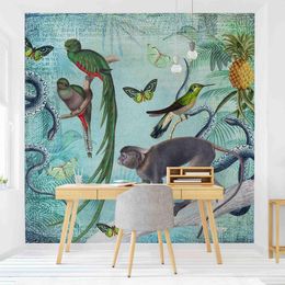 Bilderwelten Tiertapete Fototapete Tiere Colonial Style Collage - &Auml;ffchen und Paradiesv&ouml;gel Natur V&ouml;gel Affen t&uuml;rkis Wohnzimmer Wandtapete nach Ma&szlig;