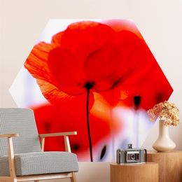 Bilderwelten Hexagon Tapete Blumen Motiv Wandtapete rot - Magic Poppies - Mohn Wohnzimmer Schlafzimmer