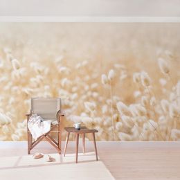 Bilderwelten Fototapete Blumen Landhaus Wandtapete beige - Zarte Gr&auml;ser - Gr&auml;ser Wohnzimmer Schlafzimmer