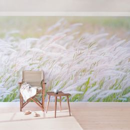Bilderwelten Fototapete Blumen Landhaus Wandtapete beige - Weiche Gr&auml;ser - Gr&auml;ser Wohnzimmer Schlafzimmer