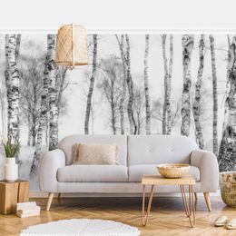 Bilderwelten Fototapete Wald Motiv Wandtapete schwarz weiss - Mystischer Birkenwald Schwarz-Wei&szlig; - B&auml;ume Wohnzimmer Schlafzimmer