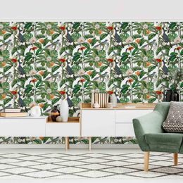 Bilderwelten Mustertapete Tiere Tropisch Wandtapete gr&uuml;n - Tropischer Tukan mit Monstera und Palmenbl&auml;ttern - V&ouml;gel Wohnzimmer Schlafzimmer