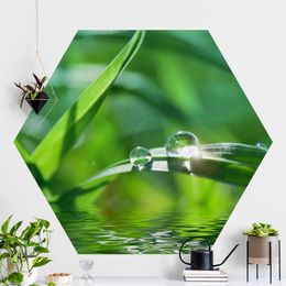 Bilderwelten Hexagon Tapete Blumen Tropisch Wandtapete gr&uuml;n - Green Ambiance II - Pflanzen Wohnzimmer Schlafzimmer