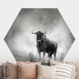Bilderwelten Hexagon Tapete Tiere Motiv Wandtapete blau - Staring Wildebeest - Deko Wohnzimmer Schlafzimmer