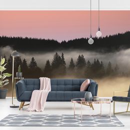 Bilderwelten Fototapete Wald Motiv Wandtapete schwarz - Vertr&auml;umter Waldnebel - B&auml;ume Wohnzimmer Schlafzimmer