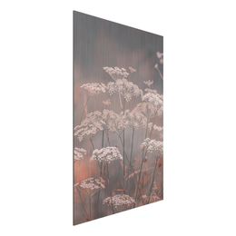 Alu Dibond Outdoor Bild - Wilde Doldenbl&uuml;ten - Blumen rosa Motiv wetterfest Deko Wohnzimmer Schlafzimmer