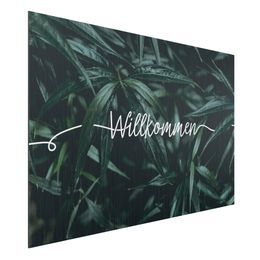 Bilderwelten Alu Dibond Outdoor Bild Spr&uuml;che gr&uuml;n Tropisch wetterfest - Willkommen dunkle Botanik - Spr&uuml;che Wohnzimmer Schlafzimmer