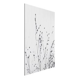 Bilderwelten Alu Dibond Outdoor Bild Blumen schwarz weiss Landhaus wetterfest - Zarte Gr&auml;ser im nahen Schatten - Gr&auml;ser Wohnzimmer Schlafzimmer