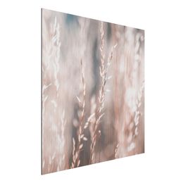 Alu Dibond Outdoor Bild - Wilde Wiese - Blumen gr&uuml;n Landhaus wetterfest Gr&auml;ser Wohnzimmer Schlafzimmer