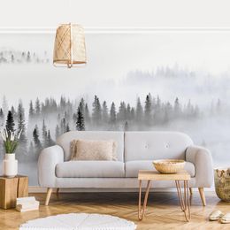 Bilderwelten Fototapete Wald Motiv Wandtapete schwarz weiss - Nebel im Tannenwald Schwarz-Wei&szlig; - B&auml;ume Wohnzimmer Schlafzimmer