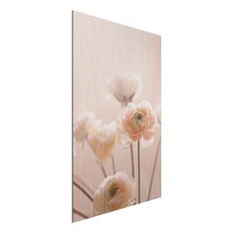 Bilderwelten Alu Dibond Outdoor Bild rosa Motiv wetterfest - Zarter Strauch an Rosa Bl&uuml;ten - Rose Wohnzimmer Schlafzimmer
