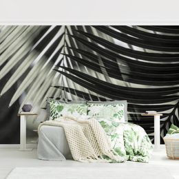 Bilderwelten Fototapete Natur Tropisch Wandtapete gr&uuml;n - Schattenspiel auf Palmenwedel - Palme Wohnzimmer Schlafzimmer