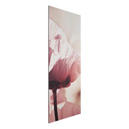 Alu Dibond Outdoor Bild - Zartrosane Mohnbl&uuml;te mit Wassertropfen - Blumen rosa Motiv wetterfest Mohn Wohnzimmer Schlafzimmer