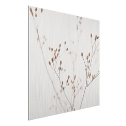 Alu Dibond Outdoor Bild - Zarte Knospen am Wildblumenzweig - Blumen beige Landhaus wetterfest Gr&auml;ser Wohnzimmer Schlafzimmer