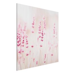 Alu Dibond Outdoor Bild - Zartrosaner Lavendel - Blumen rosa Landhaus wetterfest Gr&auml;ser Wohnzimmer Schlafzimmer