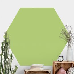 Bilderwelten Hexagon Tapete Vliestapete Unifarben Wandtapete blau - Colour Spring Green - Deko Wohnzimmer Schlafzimmer