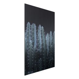 Alu Dibond Outdoor Bild - W&uuml;stenkaktus bei Nacht - schwarz Motiv wetterfest Deko Wohnzimmer Schlafzimmer