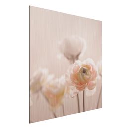 Alu Dibond Outdoor Bild - Zarter Strauch an Rosa Bl&uuml;ten - rosa Motiv wetterfest Rose Wohnzimmer Schlafzimmer