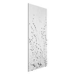Bilderwelten Alu Dibond Outdoor Bild Blumen schwarz weiss Landhaus wetterfest - Zarte Gr&auml;ser im Schatten - Gr&auml;ser Wohnzimmer Schlafzimmer