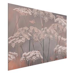 Alu Dibond Outdoor Bild - Wilde Doldenbl&uuml;ten - Blumen rosa Motiv wetterfest Deko Wohnzimmer Schlafzimmer