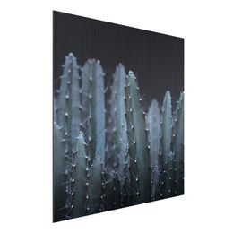 Alu Dibond Outdoor Bild - W&uuml;stenkaktus bei Nacht - schwarz Motiv wetterfest Deko Wohnzimmer Schlafzimmer