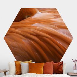Bilderwelten Hexagon Tapete Tiere Motiv Wandtapete pink - Flamingofedern - Deko Wohnzimmer Schlafzimmer