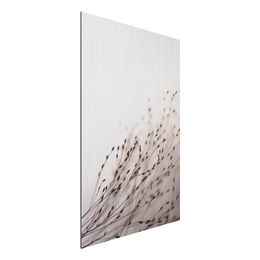 Bilderwelten Alu Dibond Outdoor Bild Blumen braun Landhaus wetterfest - Zarte Gr&auml;ser im Windschatten - Gr&auml;ser Wohnzimmer Schlafzimmer