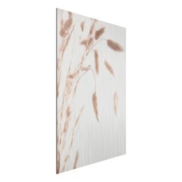 Alu Dibond Outdoor Bild - Zartes Glanzgras - Blumen beige Landhaus wetterfest Gr&auml;ser Wohnzimmer Schlafzimmer