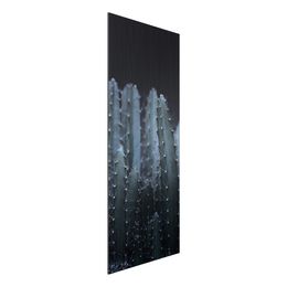 Alu Dibond Outdoor Bild - W&uuml;stenkaktus bei Nacht - schwarz Motiv wetterfest Deko Wohnzimmer Schlafzimmer