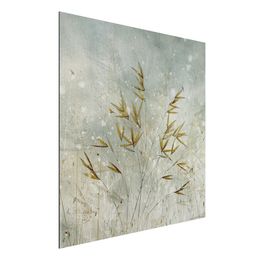 Alu Dibond Outdoor Bild - Zarte Zweige im Winternebel - Blumen grau Landhaus wetterfest Gr&auml;ser Wohnzimmer Schlafzimmer