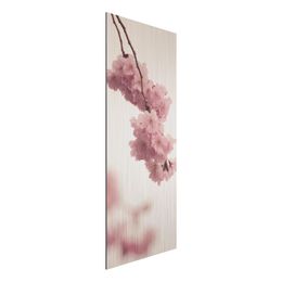 Alu Dibond Outdoor Bild - Zartrosane Fr&uuml;hlingsbl&uuml;te mit Bokeh - Blumen rosa Motiv wetterfest Kirschbl&uuml;te Wohnzimmer Schlafzimmer