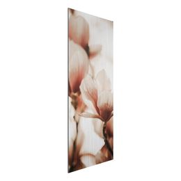 Bilderwelten Alu Dibond Outdoor Bild Blumen rosa Motiv wetterfest - Zarte Magnolienbl&uuml;ten im Lichtspiel - Deko Wohnzimmer Schlafzimmer
