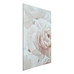 Alu Dibond Outdoor Bild - Wei&szlig;e Bl&uuml;te im Bl&uuml;tenmeer - rosa Motiv wetterfest Rose Wohnzimmer Schlafzimmer