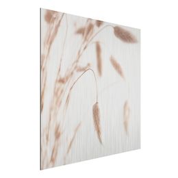 Alu Dibond Outdoor Bild - Zartes Glanzgras - Blumen beige Landhaus wetterfest Gr&auml;ser Wohnzimmer Schlafzimmer