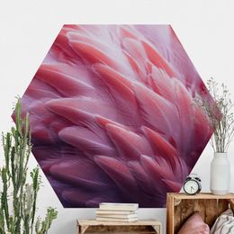 Bilderwelten Hexagon Tapete Tiere Tropisch Wandtapete orange - Flamingofedern Close-up - Feder Wohnzimmer Schlafzimmer