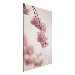 Alu Dibond Outdoor Bild - Zartrosane Fr&uuml;hlingsbl&uuml;te mit Bokeh - Blumen rosa Motiv wetterfest Kirschbl&uuml;te Wohnzimmer Schlafzimmer