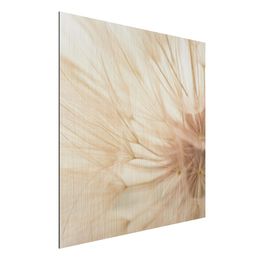 Alu Dibond Outdoor Bild - Weiche Pusteblume - Blumen beige Landhaus wetterfest Pusteblume Wohnzimmer Schlafzimmer