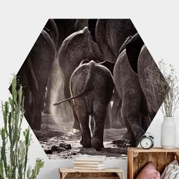 Bilderwelten Hexagon Tapete Tiere Motiv Wandtapete braun - Nach Hause gehen - Elefant Wohnzimmer Schlafzimmer
